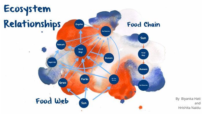 PBL Task 1: Ecosystem Relationships by Biyanka Hati on Prezi