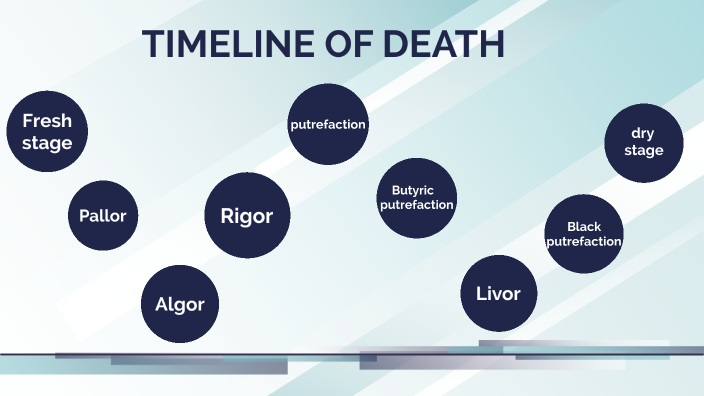 timeline of death by Ayan Ali on Prezi