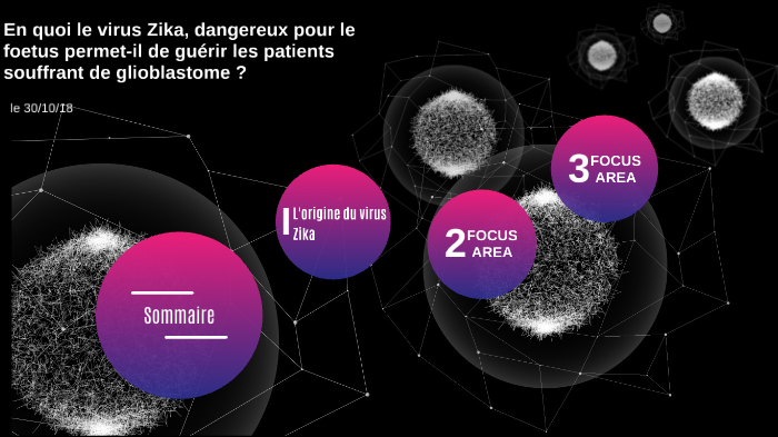 TPE Virus Zika/Cancer du cerveau by flora routier on Prezi