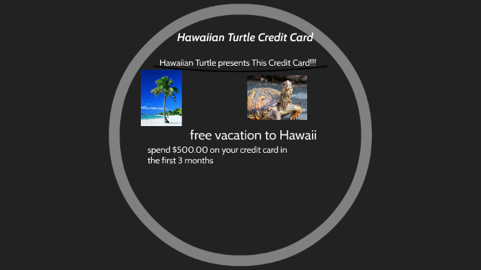 Hawiian Turtle Credits Card by Nicholas Martinez on Prezi