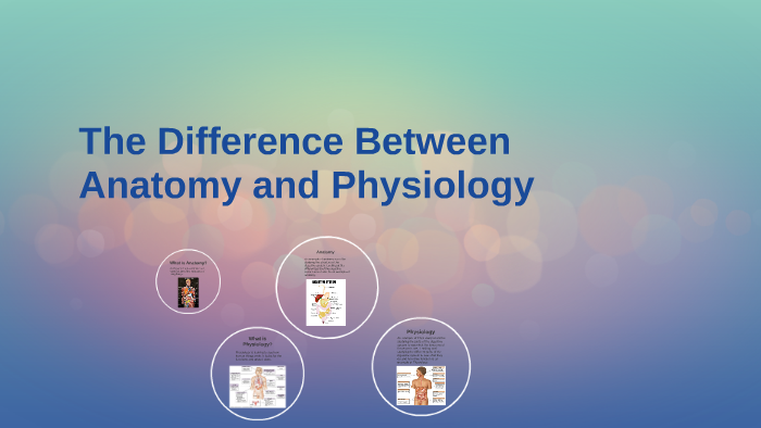 The Difference Between Anatomy and Physiology by taylor trogdon