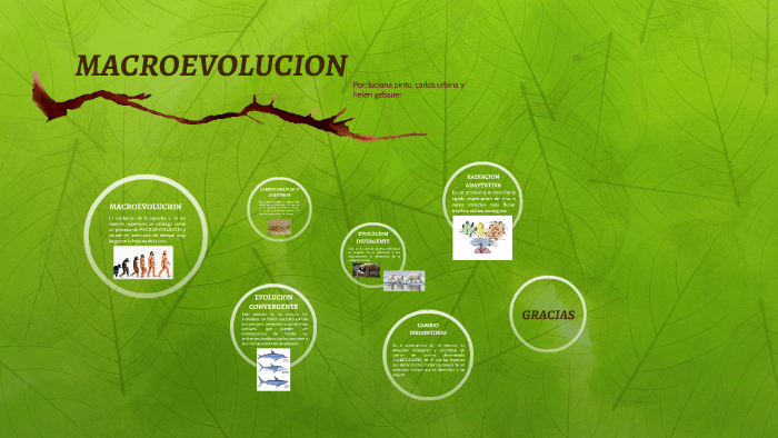 MACROEVOLUCION by luciana pinto suarez on Prezi