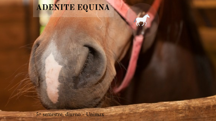 ADENITE EQUINA by Giulia Carotti on Prezi