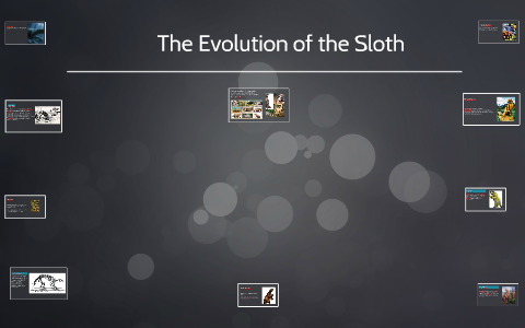 Evolution of the Sloth. by gurbir dhaliwal on Prezi
