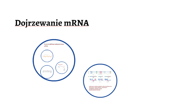 Dojrzewanie mRNA by Marcin Tomaszewski on Prezi