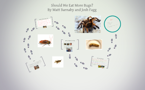 Should We Eat More Bugs? by Firstname Lastname on Prezi