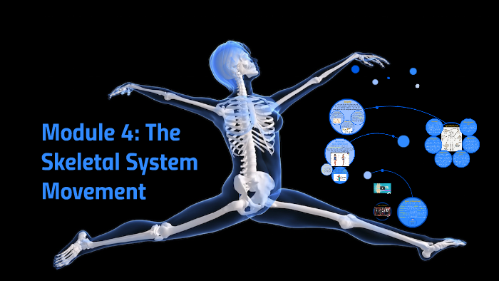 Module 4: The Skeletal System - Movement by Crystal Brantly on Prezi