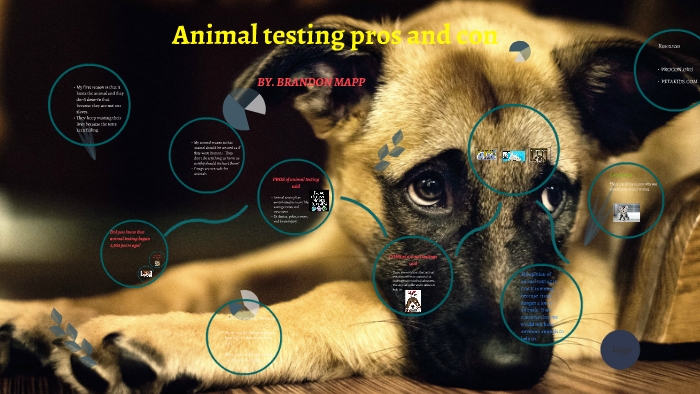 Did you know that animal testing began since,5,000 B.C by brandon mapp ...