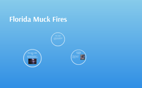 Florida Muck Fires by Tanner Huddleston on Prezi