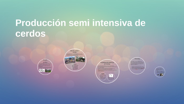 Producción semi intensiva de cerdos by Lucy Garay on Prezi