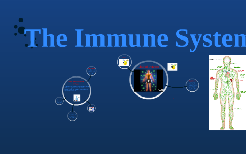 What body system protects our body from diseases? by Sammy Abbas on Prezi
