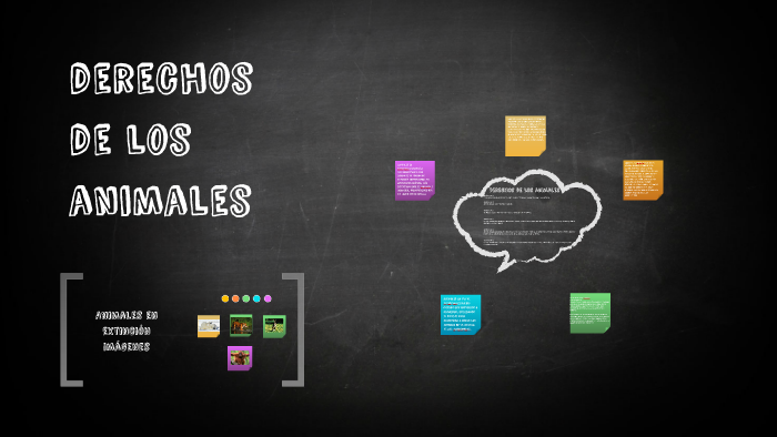 derechos de los animales by Juliana Chica Parra on Prezi