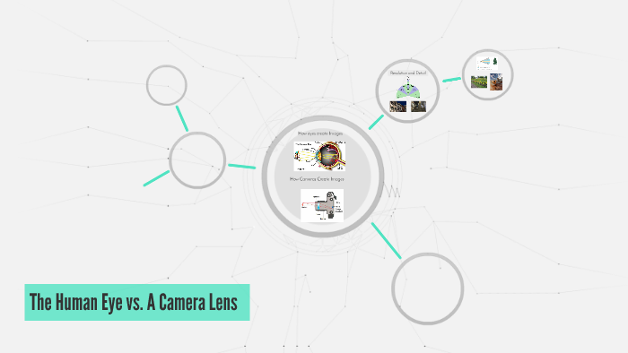 The Human Eye vs. A Camera Lens by Amanda Johnson