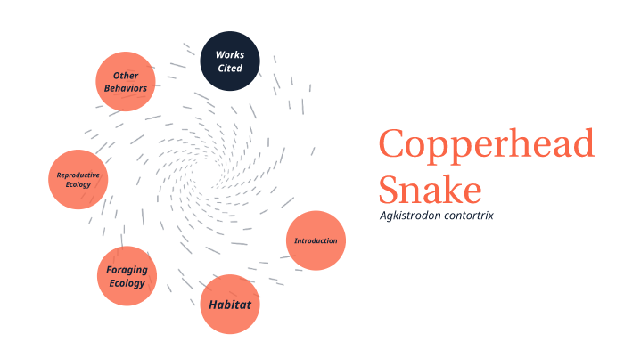 Copperhead by Brian Peters on Prezi