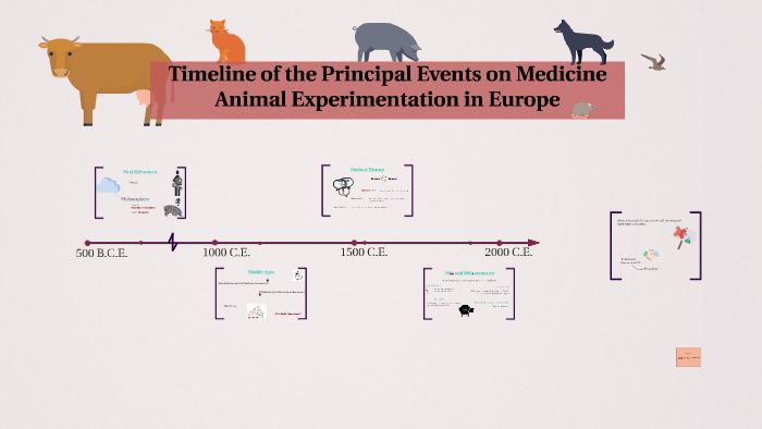 Brief History of Medicine Animal Experimentation in Europe by Rute ...
