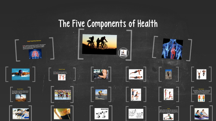 The Five Components of Health by Aaden Austin on Prezi
