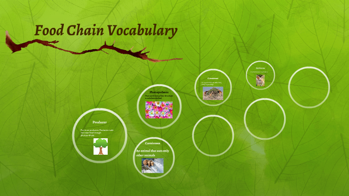 Food Chain Vocabulary by Scarlet Alvarez Castro on Prezi