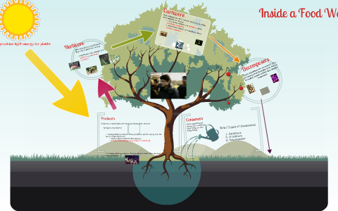 Inside a Food Web by Eden Briscoe on Prezi