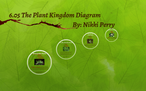 6.05 The Plant Kingdom Diagram by Nicole Perry on Prezi