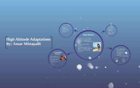High Altitude Adaptations by Amar Mittapalli on Prezi