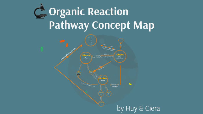organic Reaction Pathway Concept Map by Ciera Jeffries on Prezi