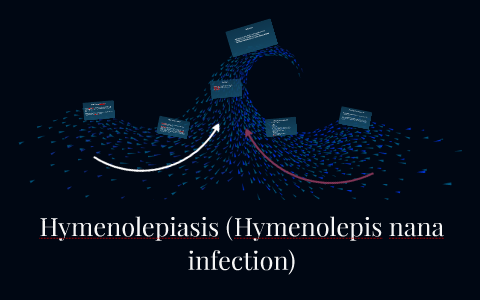 Hymenolepiasis (Hymenolepis nana infection) by Dheinave Pal on Prezi