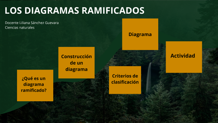 Los diagramas ramíficados by Liliana Sánchez on Prezi