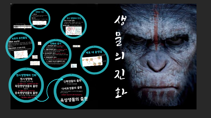 생물의 진화 by melissa shin on Prezi