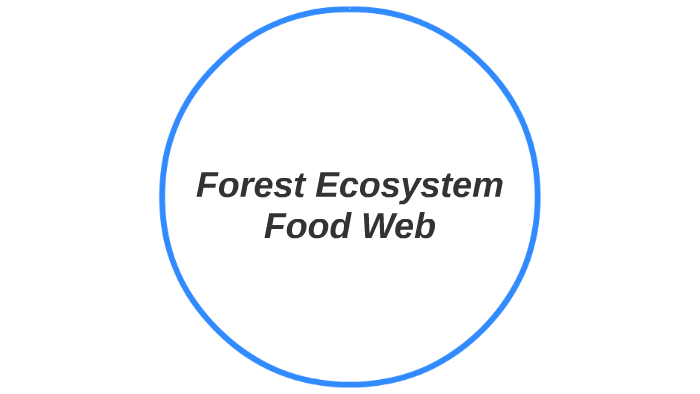 Forest Ecosystem Food Web by P Puskas