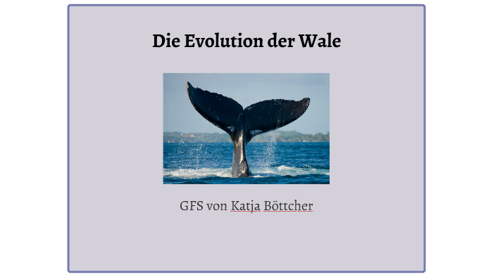 Evolution der Wale by Marcel Schmieder on Prezi