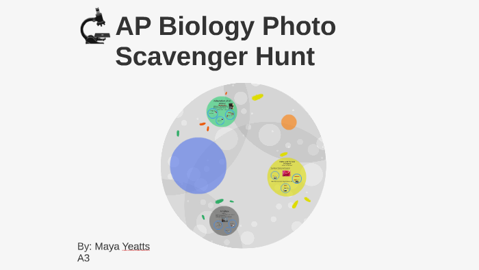 AP Biology Photo Scavenger Hunt by Maya Yeatts on Prezi