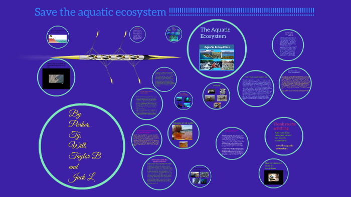 Save The Aquatic Ecosystem by Jack Lesch on Prezi
