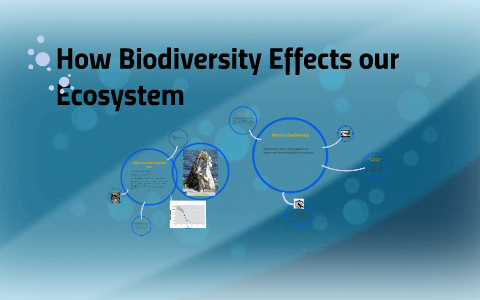 How Biodiversity Effects our Ecosystem by Drake Conrad on Prezi