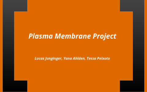 Plasma Membrane Project by Lucas Junginger
