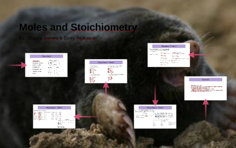 The Mole Project by Emily Ripkowski on Prezi