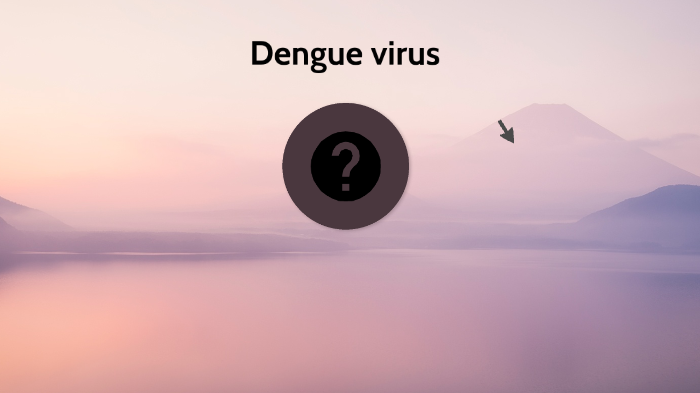 de dengue mug by Anne Floor Verhaagen on Prezi