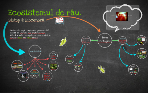 Ecosistemul de râu by Adina C on Prezi