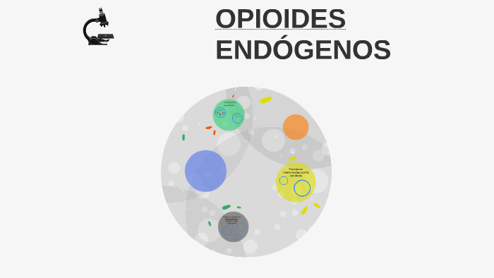 Opioides Endogenos Basic Opioid Pharmacology: An Update Hasan