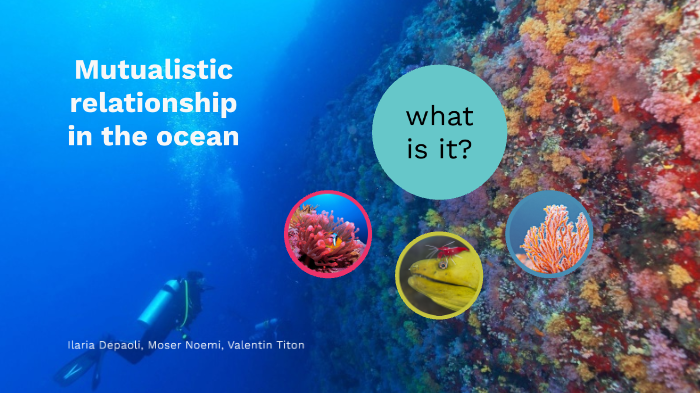 Mutualistic relationship in the ocean - 3F by Ilaria Depaoli on Prezi