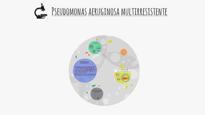Pseudomonas aeruginosa multirresistente by Sophi Souza