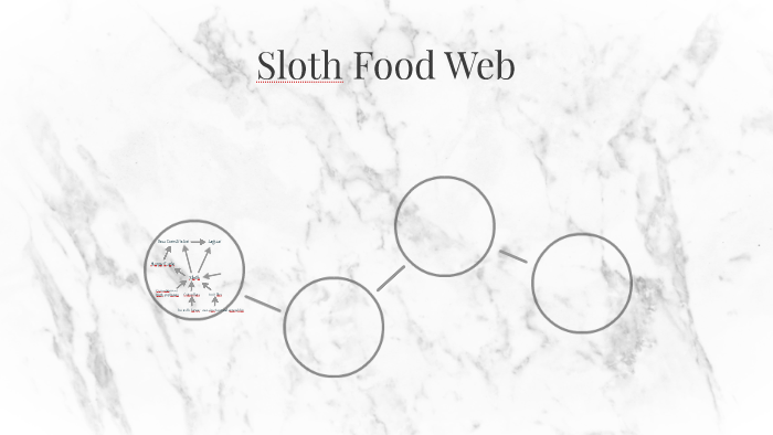 Sloth Food Web by Ursula Strayer on Prezi