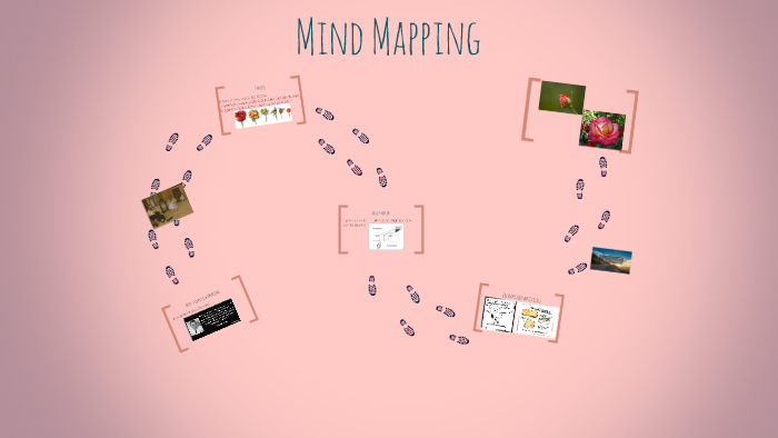 Mind Mapping by Gillian Monty