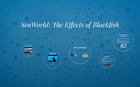 SeaWorld: The Effects of Blackfish by Taylor Tompkins on Prezi