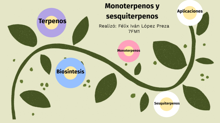 Monoterpenos y sesquiterpenos by Felix Ivan Lopez on Prezi