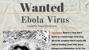 Bacteria/Virus Wanted Poster by Brandon Lin on Prezi Design