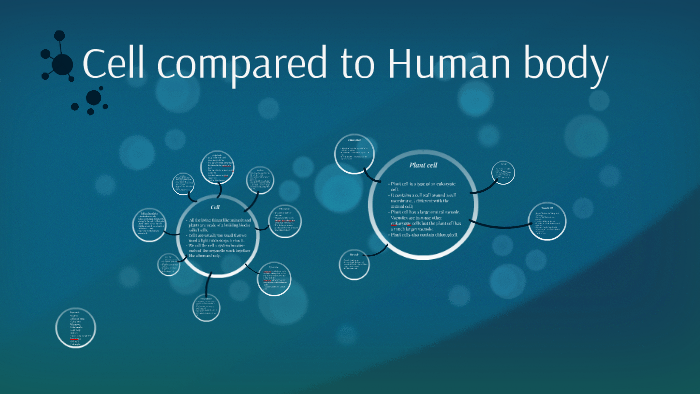 Cell compared to Human body by Moeka Kurokawa on Prezi