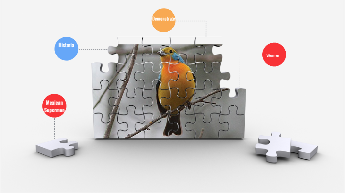 FLY FLY FLY Splat by Jeffrey Lee on Prezi