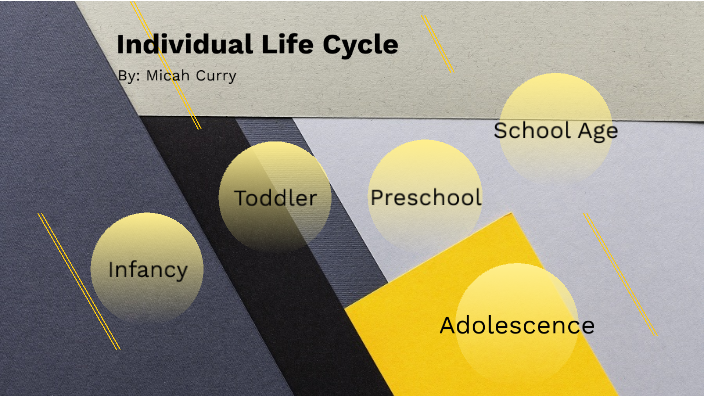 Individual Life Cycle by MICAH CURRY on Prezi