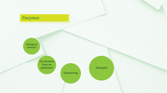 Biology enzymes by darcie stanton on Prezi