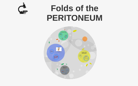 Folds of the PERITONEUM by Katie Daniels on Prezi